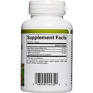 HerbalFactors by Natural Factors, Ginkgo Biloba, Supports Memory, Mental Performance and Healthy Brain Function, 60 capsules (60 servings)