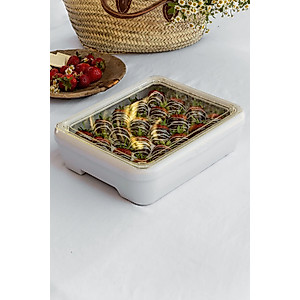 Fancy Panz Deviled Egg Trayz Insert for use with Fancy Panz Classic, Premium & 2in1. Holds 20 eggs