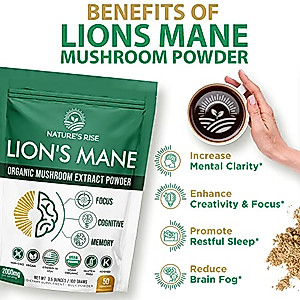 Lions Mane Mushroom Powder Organic Supplement - (USA Grown), Fruiting Body Extract, Nootropic Brain Supplement for Focus & Memory Support, Creativity, Brain Booster | 3.5 Ounces (50 Servings)