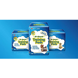 HONEY CARE All-Absorb, Large 22" x 23", 100 Count, Dog and Puppy Training Pads, Ultra Absorbent and Odor Eliminating, Leak-Proof 5-Layer Potty Training Pads with Quick-Dry Surface, Blue, A01