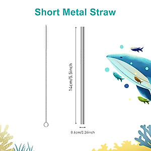 Kiemeu Short Metal Straws For Kids, Small Straws For Cocktails, Reusable Cocktail Straws For Drinks 5.5 Inch