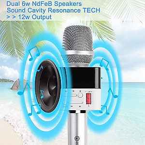 2049 12w Cardioid Dynamic Wireless Microphone, Handheld Wireless Bluetooth Karaoke Systems Karaoke Microphone for Home,Outdoor,Party,Classroom,Wedding,Car (X50, Starry Silver)