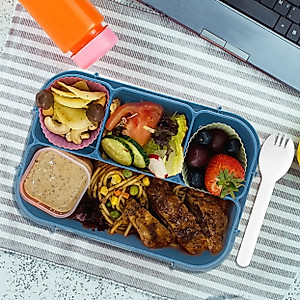 HappyRhino Bento Lunch Box for Kids Adult,4 Compartment Bento Box Adult Lunch Box Containers,Kids Lunch Box with Fun Accessories Silicone Food Cake Cups, Cute Food Picks for Kids,Easy to Clean (BLUE)