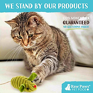 Raw Paws Catnip Cat Mouse Toys with Silvervine Stick (4-count) - Mouse Cat Toy for Indoor Cats - Silvervine Cat Toy, Interactive Cat Toy with Silvervine, Mouse Toy for Cats, Cat Mice Toys, Catnip Toys