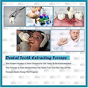 DDP Dental Tooth Extraction Forcep 106 Dentist Lab Tools Stainless Steel