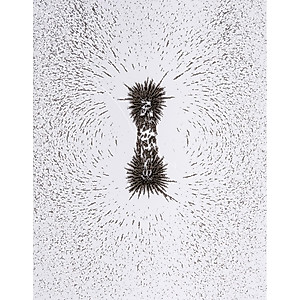 Dowling Magnets Iron Filings, Jar (12 ounces) with shaker lid