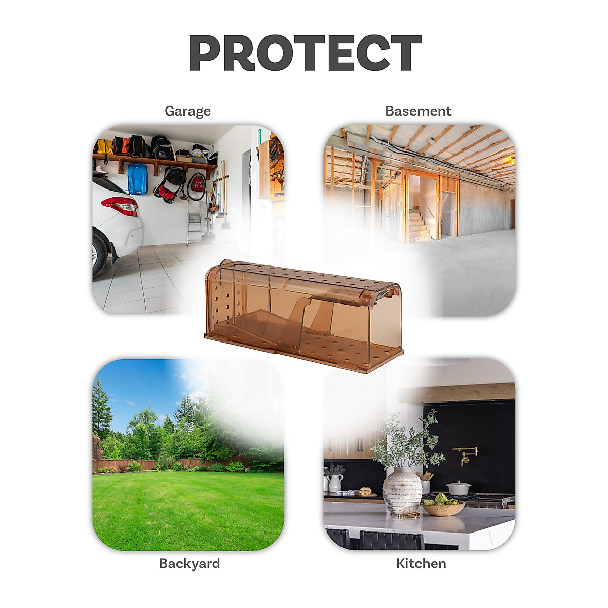 Sunnydaze Humane Mouse Trap - Indoor for Home - Outdoor Mouse Traps - Child and Pet Safe - Reusable - 2-Pack