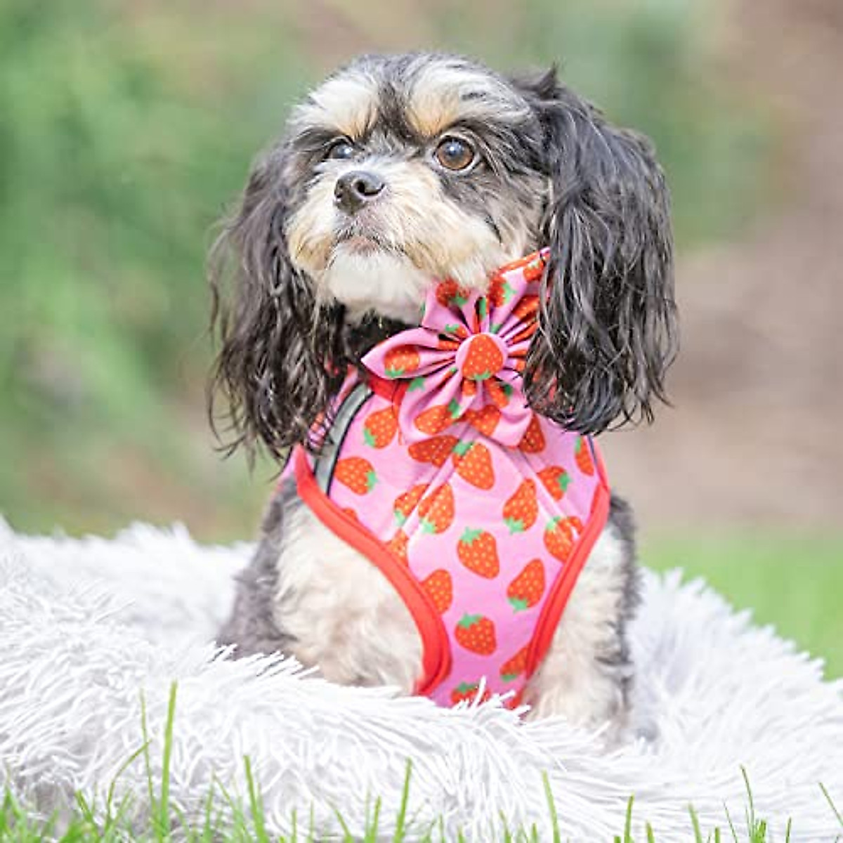 H&K Pet Pinwheel | Strawberry (Large) | Spring Velcro Collar Accessory for Dogs/Cats | Fun Pet Pinwheel Collar Attachment | Cute, Comfortable Pet Accessory