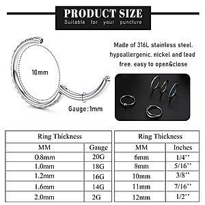 THUNARAZ 18G 16G Surgical Steel Nose Rings for Women CZ Opal Septum Hinged Clicker Segment Lip Rings Helix Cartilage Hoop Earring Rook Daith Seamless Body Piercing Rings 8mm 10mm