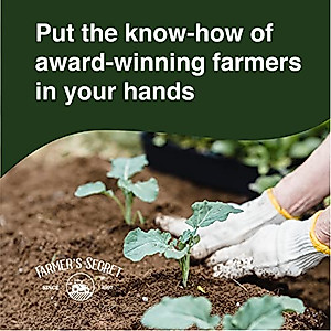 Farmer’s Secret Money Tree Liquid Plant Food Fertilizer (8oz) - Super Concentrated - Strengthen Roots and Encourage Growth in All Varieties of Money Trees