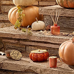 Thymes Pumpkin Laurel Statement Large Candle - Scented Candle with Notes of Nutmeg, Cinnamon, Clove, Pumpkin, and Orange Peel - Luxury Home Fragrance - Burnt Orange Pumpkin-Shaped Candle (15 oz)