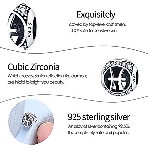 TINSLO Zodiac Sign Bead Birthday Charms 925 Sterling Silver Birthstone Charms Fits Women's Charm Bracelet & Necklace Bangle Gifts