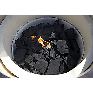 BIG CP 20-pound bag of natural lump charcoal