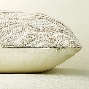 Henzxi Set of 2 Throw Pillow Covers 18x18 Inches Farmhouse Decorative, Square Boho Cushion Case with Faux Velvet Soft Plush Short Wool, Beige