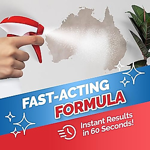 Instagone, Cleaning Supplies, All Purpose Cleaner, 0.8oz Pack of 4, Hard Water Stain Remover, Multisurface Cleaner Spray, Patio Cleaner, Multipurpose Cleaner, Sink Cleaner, Stain Remover