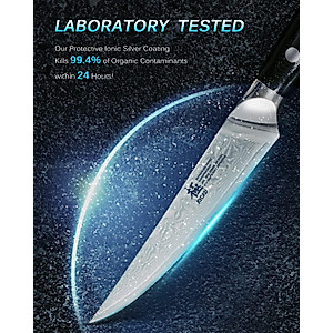 KYOKU Gin Series Steak Knife Set of 4, 4.5" Steak Knives, Japanese VG10 Damascus Stainless Steel Kitchen Knife Set with Silver Ion Blades G10 Handles Mosaic Pins, Cutlery Set w/Sheaths & Case