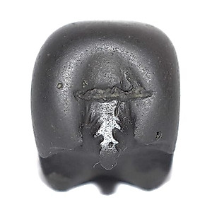 Rudrakshguru Hayagriva Shaligram - Gandaki River Nepal