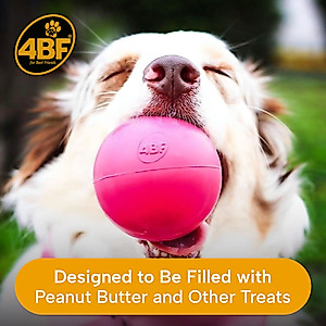 4BF Crazy Bounce, Natural Rubber Dog Ball, Dog Treat Dispenser, Durable & Interactive Dog Toys, Fillable Dog Fetch Ball, Peanut Butter-Scented Rubber Balls for Dogs, Aqua, Size L