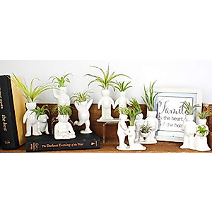 3.25 Inch White Ceramic Meditating Person Shaped Planter with Live Tillandsia Air Plant - Potted Indoor Air Plants for Home and Office Decor