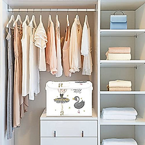 CaTaKu Lovely Black Swan Storage Bins with Lids and Handles, Fabric Large Storage Container Cube Basket with Lid Decorative Storage Boxes for Organizing Clothes