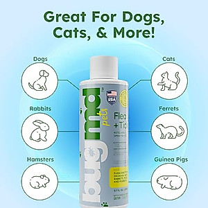 BugMD Flea and Tick Spray (2 Pack) - Flea and Tick Formula for Dogs, Flea and Tick Spray for Dogs, Flea Spray for Home, Flea and Tick Killer, Dog Flea and Tick Control