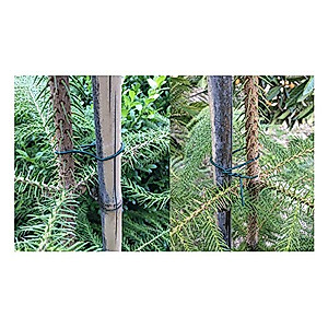 THE UM24 100 Feet Garden Wire Heavy Duty Green Coated Plant Twist Tie Garden Training Wire
