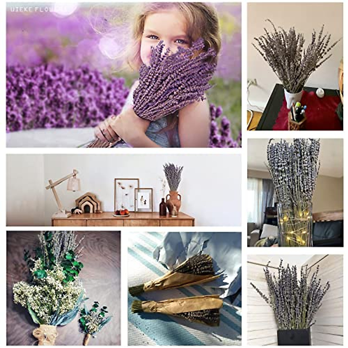 Dried Lavender Bundles, Uieke Natural Dried Lavender Flowers 280-300 Stems 16“ for Home Weeding Decoration Flower Arrangements Home Fragrance 2 Bundles