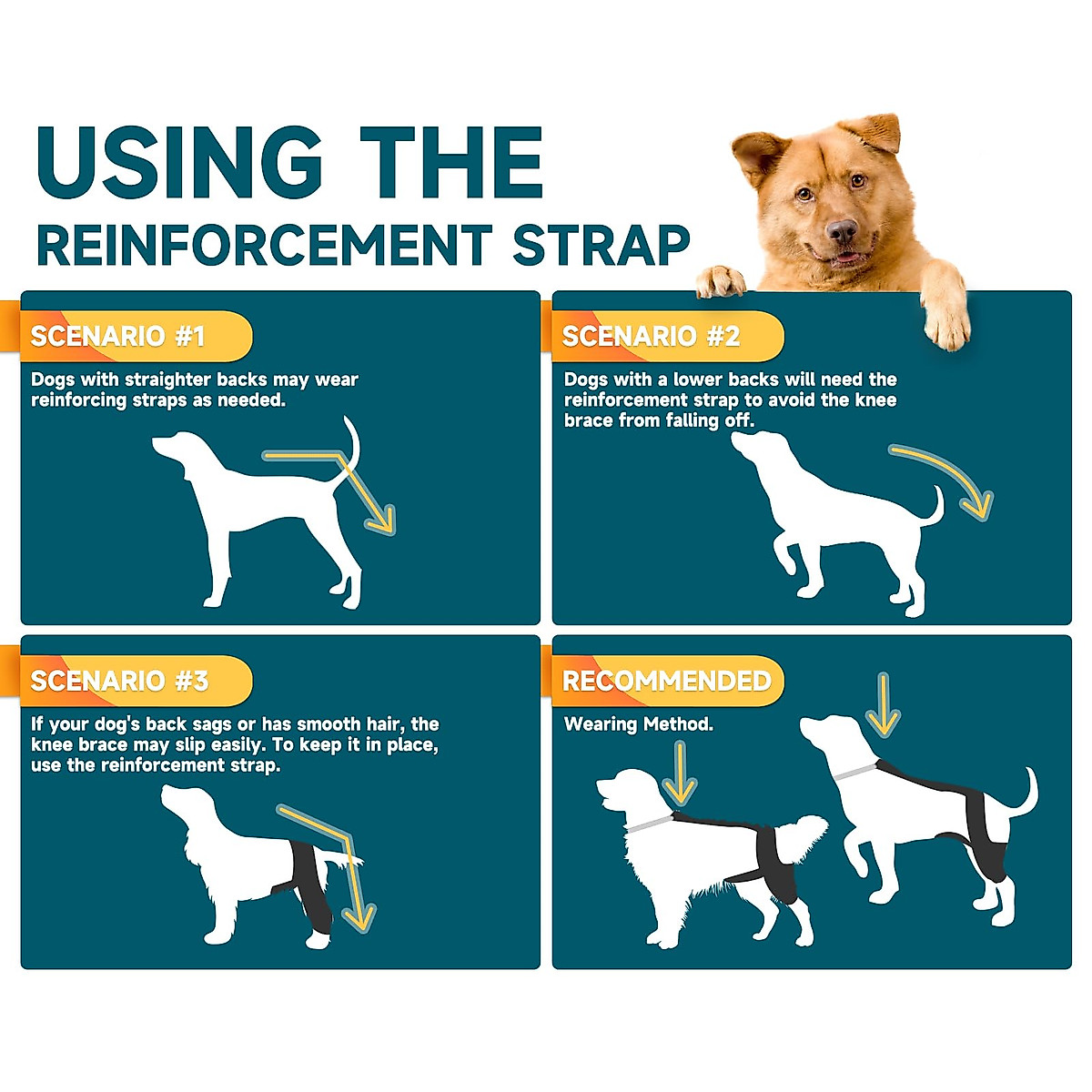 Virbraroo Dog Leg Brace for Torn Acl Hind Leg,8X Support Dog Knee Brace with Metal Strips for Joint Pain Relief, Rear Leg Brace with Adjustable Traction Belt for Cruciate Ligament Injury (L)