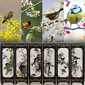 Bantlou Mini Folding Screen Small Chinese dividers Japanese Decor Folding Screen Desktop Asian Decoration Gift for Home Office New Year 18.5‘’×9.5’’(Bird and Flowers)