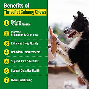 ThrivePet Hemp Calming Chews for Dogs - 120 Count | Duck Flavor - Puppy Dog Calming Treats Supplement for Storm Anxiety, Sleep, Relaxing, Separation Aid, Stress Relief - Vet Approved - Made in USA