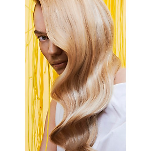 Björn Axén Repair Shampoo - Repairs Dry and Damaged Hair - Enriched with Organic Argan Oil - Strengthens and Hydrates Hair - Leaves Hair Shiny and Renewed - Vegan - Dermatologically Tested - 8.45 oz