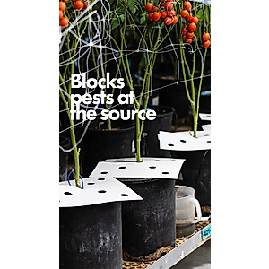 Sticky Lid 12" Sticky Trap - Fungus Gnats - Covers Entire Pot - 4X Larger & More Rigid - Weatherproof - Reflects Light - Non Toxic - EPA Registered Establishment - 10 Pack