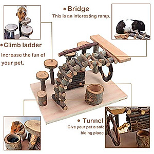 Linifar Hamster Playground Wooden, Small Animal Activity Toys Set – Climbing Ladder/Ramp Bridge/Food Bowl/Hideout Tunnel Stand Platform Chew Toy for Hamster Mouse Gerbil Rat Chinchilla (Playground C)