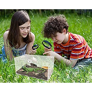 Magnetic Acrylic Reptile Cage,Transparent Enclosure Reptile Breeding Box,Breeding Box Terrarium Tank Suitabl for Tarantulas,Lizards,Chameleons,Hermit Crabs,Snakes,Insect,Turtle（12x8x6 Inch