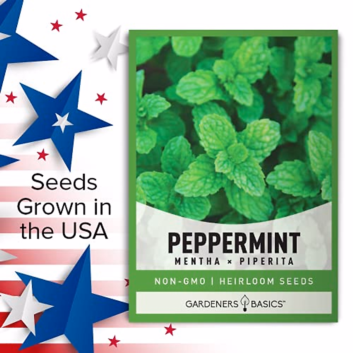 Peppermint Seeds for Planting is A Heirloom, Open-Pollinated, Non-GMO Herb Variety- Great for Indoor and Outdoor Gardening and Herbal Tea Gardens by Gardeners Basics