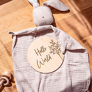 Hello World Newborn Sign, Baby Birth Announcement Sign, Wooden Baby Announcement Sign, Birth Announcement Sign for Hospital or Newborn Photo Props, Hospital Gift for New Parents and Expecting Mothers