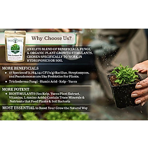 GreenEden InoBoost Ultimate Easy Compost Tea for Plants - Nutrient & Bloom Booster - Soluble Biostimulants for Plant Growth, Flowering & Yields - 8oz. Microbial Inoculant - Super Soil