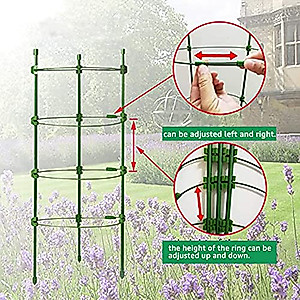 Adjustable Tomato Cage Plant Support Cages 36 inches Garden Cucumber Trellis，Plant Stake with 4 Adjustable Ring, Support Rings for Vegetables，Flowers，Fruit，Rose Vine Climbing Plants （4 Pack ）