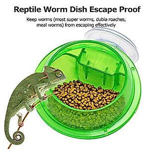 MACGOAL 3 Pieces of Reptile Suction Cup Feeder Chameleon Bowl Reptile Food and Water Bowl Dish Reptile Worm Dish Escape Proof, Suitable for Crested Gecko Tree Frog Chameleon Lizard Bearded Dragon