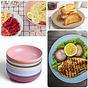 WANBY Plastic Plates 10 Pcs Lightweight 5.6" Plastic Plates Unbreakable Dinner Dishes Plates Set Dishwasher & Microwave Safe