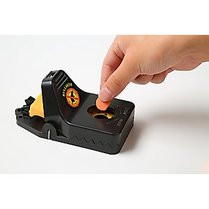 6 Pack - Rat Traps - Indoor/Outdoor, Reusable, Easy Setup, Powerful Stainless Steel Spring, Tough ABS Body. Finger Saver Design. Set Trap Without Getting Snapped (ABS Plastic, 6)