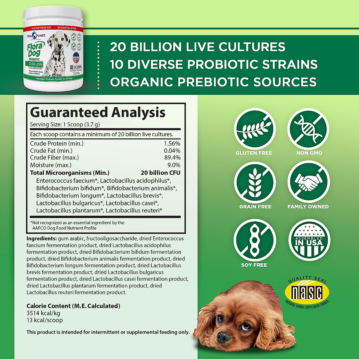 Vital Planet - Flora Dog Probiotic Powder Supplement with 20 Billion Cultures and 10 Strains, High Potency Immune and Digestive Support Probiotics for Dogs, 7.84 oz., 222 Grams, 60 Servings