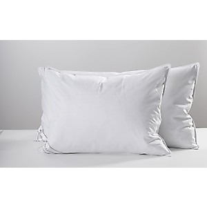 Eastwarmth Natural Goose Down&Feather Pair Pillows Insert, Set of 2 Bedding Soft Pillows 100% Soft Cotton Standard 20x26in