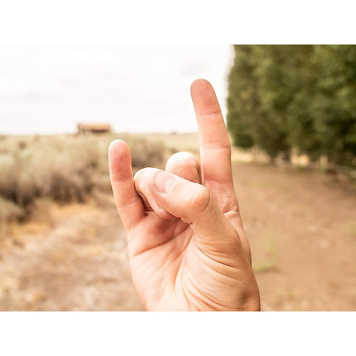 Finger Guns at High Noon