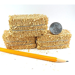 Meyer Imports Mini Hay Bales - Small - (Pack of 12) Small Decorative Hay – for Craft/Dollhouse/Farm/Halloween/Table Decoration - 2.5 x 1 Inches Each