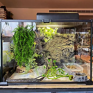 Grddaef Reptile Vines Plants for Terrarium, Flexible Vines Jungle Climbing Branch with Leaves Tank Decor for Snakes Bearded Dragons Geckos Hermit Crabs Lizards Chameleons