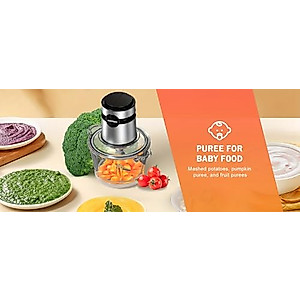 Food Processor, 500W Electric Meat Grinder Food Chopper With Two 8 Cup Bowls & 2 Bi-Level Blades, 2 Speed Kitchen Cutter For Vegetable, Onion, Garlic, Meat, Nuts, And Baby Food, Black (Black)