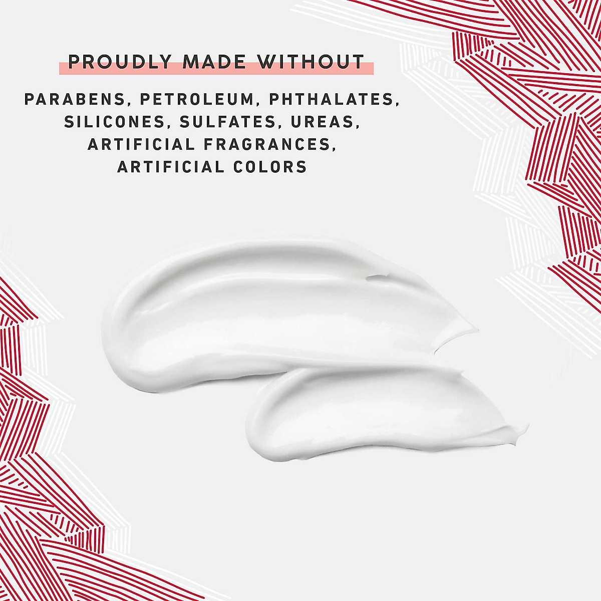 MyChelle Dermaceuticals Pumpkin Renew Cream (1.2 Fl Oz) - Daily Face Moisturizer with Pumpkin Seed Oil, Cloudberry Extract & Antioxidants - Moisturizes, Nourishes & Strengthens Skin