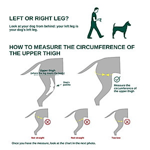 Ortocanis - Knee Brace for Dogs with Ligament Rupture and Patella Luxation, Size XXS, Left Leg