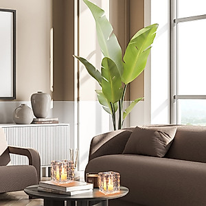 qinxiang 100 Pack Unscented Ivory Clear Cup Tea Light Candles for Dinner, Wedding, Party, Spa, Church, Home Decor Tealights